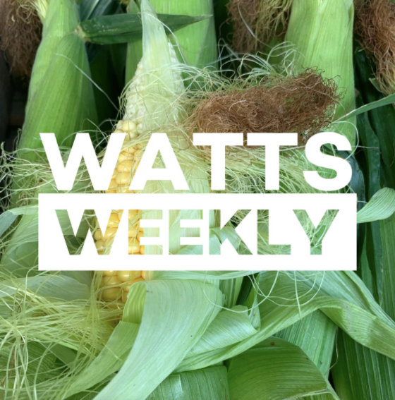Watts Weekly- 03/08 – Watts Farms Trade